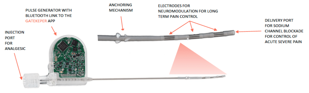 RELAY - Gate Science