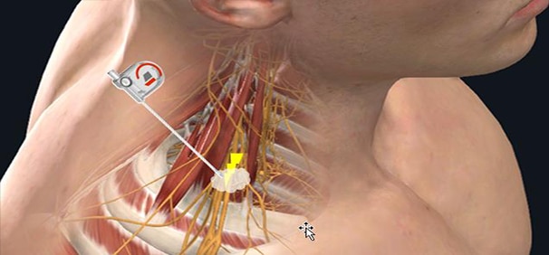 RELAY - Gate Science