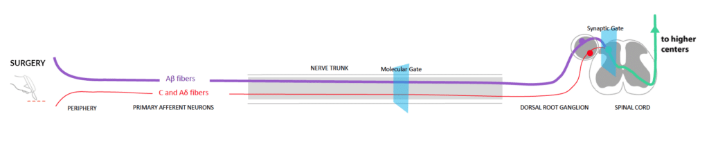 Homepage - Gate Science